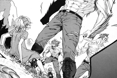 Maximum Ride Flying Erasers