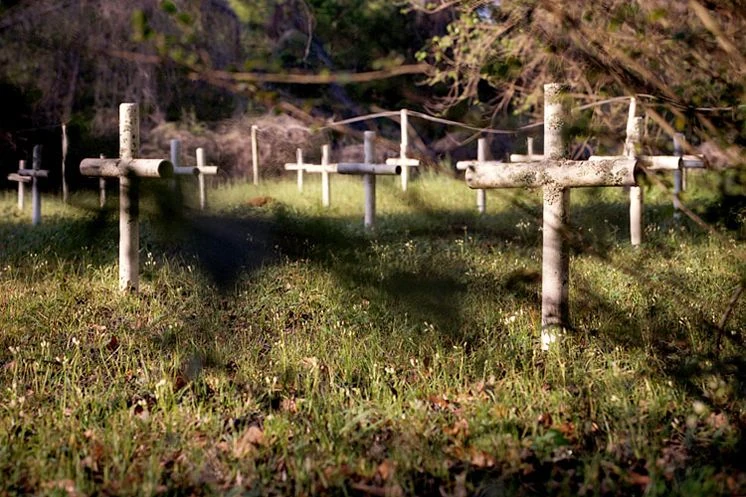 The Deadheads | TheMazeRunnerRoleplay Wiki | Fandom