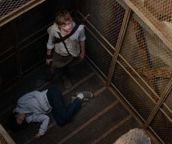 The Box | TheMazeRunnerRoleplay Wiki | Fandom