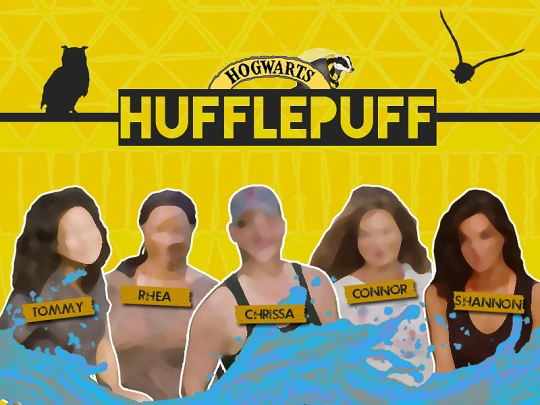 Hufflepuff | Themed Reality Central | Fandom