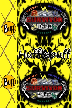 Hufflepuff | Themed Reality Central | Fandom