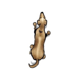 Pascal | TheMendCampaign Wiki | Fandom