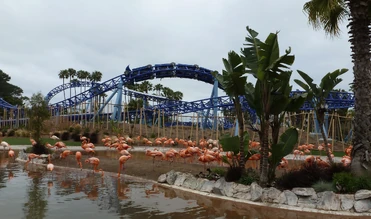 Manta (SeaWorld San Diego) | Theme Parks Wiki | Fandom