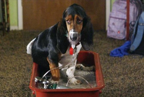 Doris | The Middle Wiki | Fandom