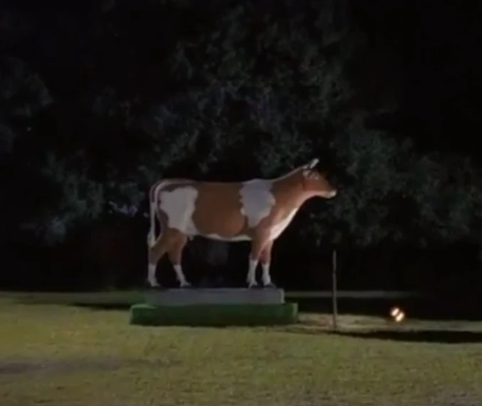 Polyurethane Cow | The Middle Wiki | Fandom