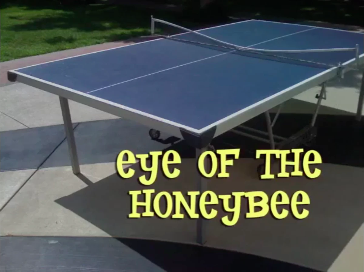 Eye of the Honeybee | The Mighty B! Wiki | Fandom