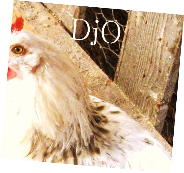 DJ-O (album) | The Music Biz Wiki | Fandom