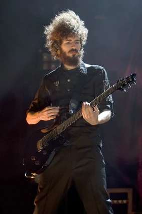 Brad Delson | The Music Wiki | Fandom