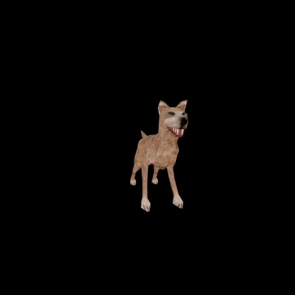 Rabid Dog Gif