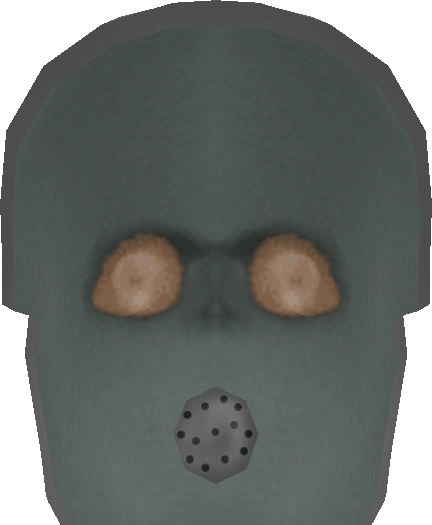 Gas Mask | The Nameless Mod Wiki | Fandom