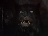 Category:Characters | The Neverending Story Wiki | Fandom