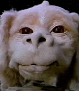 falkor dog