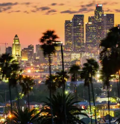 Zion Jones | The New Beginning Wiki | Fandom