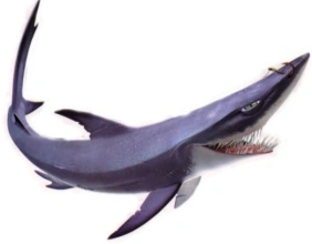 Chum | The New Disney and Pixar Wiki | Fandom