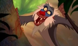 Rafiki | The New Disney and Pixar Wiki | Fandom