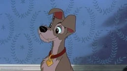 Tramp | The New Disney and Pixar Wiki | Fandom