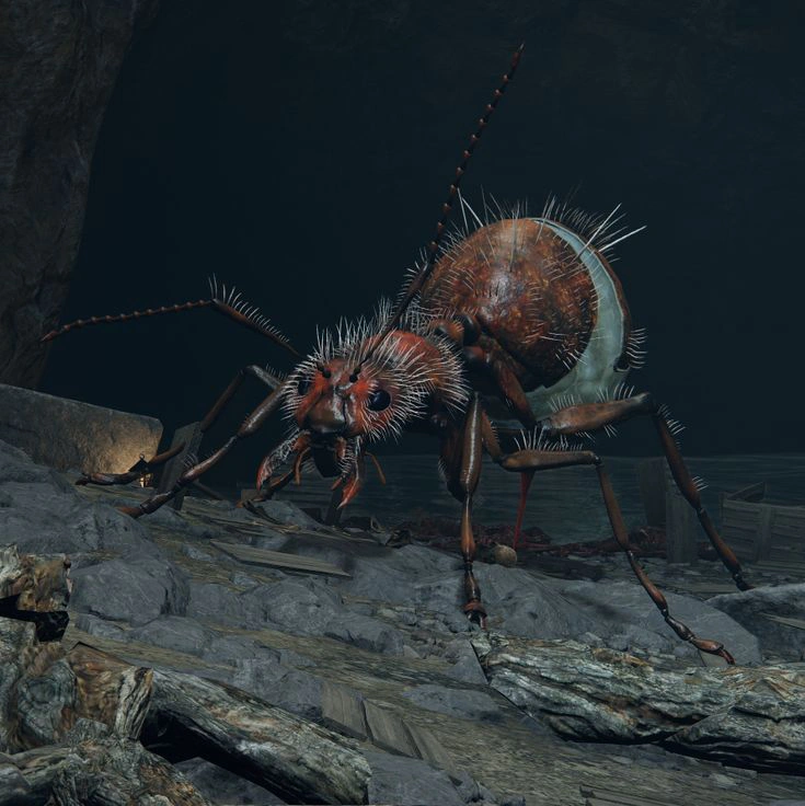 Nid des Myrmekes | Wiki TheNewOlympus | Fandom