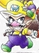Wario and Waluigi: Bowser's WILD SIDE STORY! | The new super mario Wiki ...