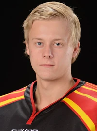 Anton Hedberg | NHL Wiki | Fandom