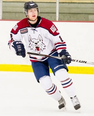 Jakob Stridsberg | NHL Wiki | Fandom