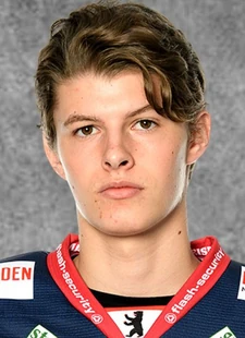 Lukas Reichel | NHL Wiki | Fandom