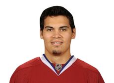 Rene Bourque | NHL Wiki | Fandom