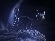 Black Cat | The Nightmare Before Christmas Wiki | Fandom