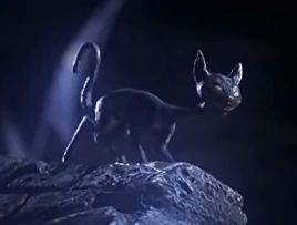 Black Cat | The Nightmare Before Christmas Wiki | Fandom