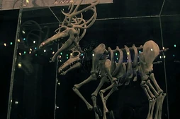 Reindeer skeletons | The Nightmare Before Christmas Wiki | Fandom
