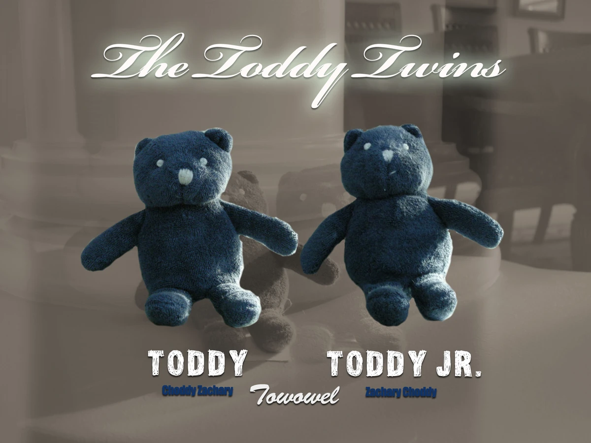 The Toddy Twins Poster | Nunypedia | Fandom