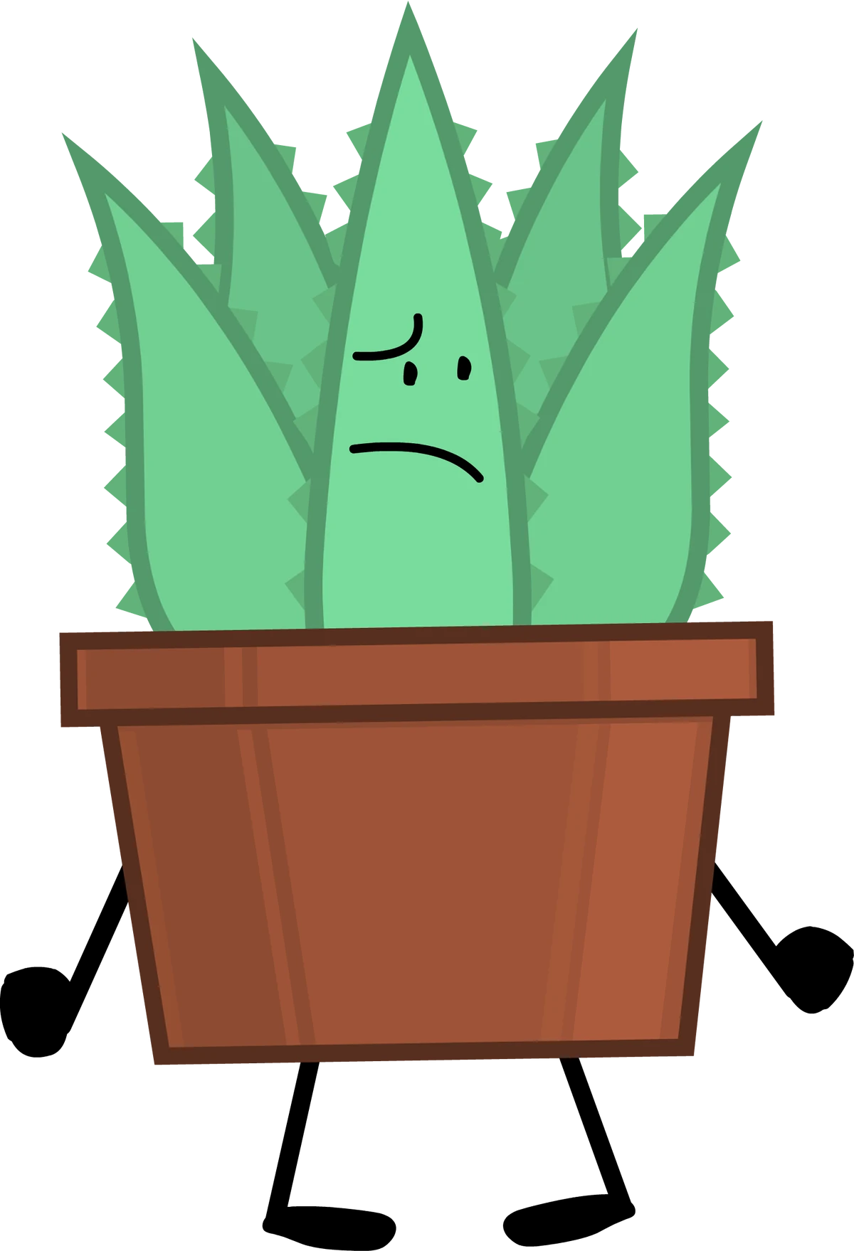 Aloe | The Object Project Wiki | Fandom