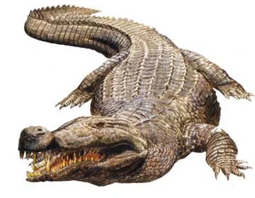 Phrixus | Theoceanhunter2 Wiki | Fandom