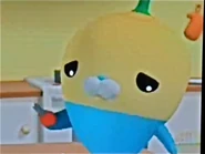 The Vegimals | The Octonauts Wiki | Fandom