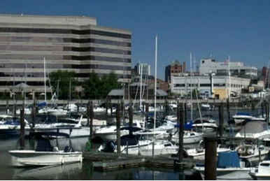 Josh Porter The Office