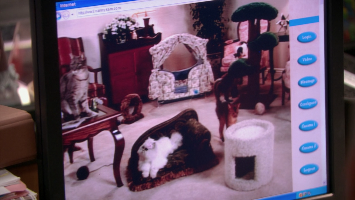 Angelas Cats Dunderpedia The Office Wiki Fandom