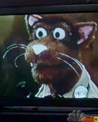 Edward R. Meow | Dunderpedia: The Office Wiki | Fandom