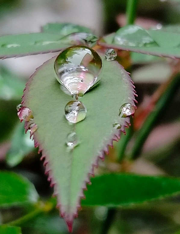 Droplet | TheOmegaUniverse Wiki | Fandom