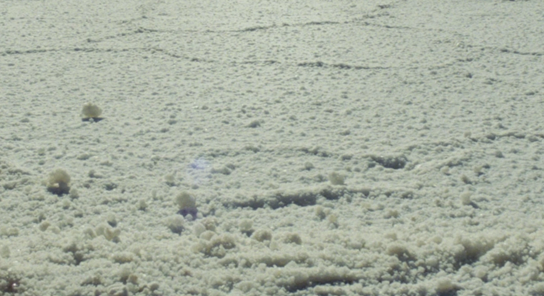 Salt | TheOmegaUniverse Wiki | Fandom