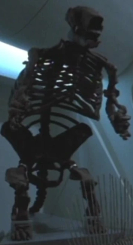 Extinction | TheOmegaUniverse Wiki | Fandom