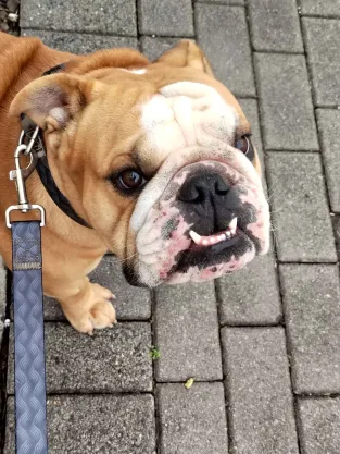 Argos | TheOneVisionary Wiki | Fandom