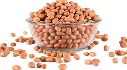 Glaggleland | TheOneVisionary Wiki | Fandom