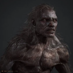 The Order 1886 Werewolves