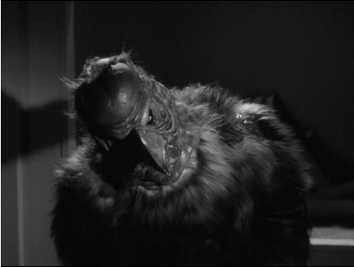 The Duplicate Man | The Outer Limits Wiki | Fandom