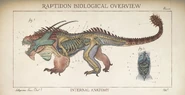 Raptidon | The Outer Worlds Wiki | Fandom