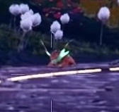 Raptidon - The Outer Worlds Wiki