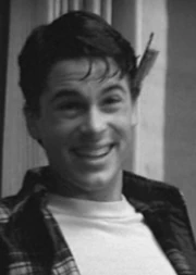 Sodapop Curtis | The Outsiders Wiki | Fandom