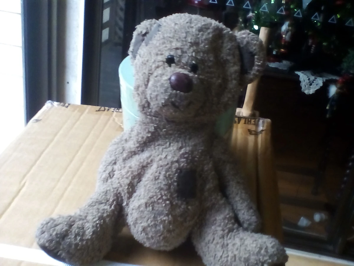 Teddy | The Patch Wiki | Fandom