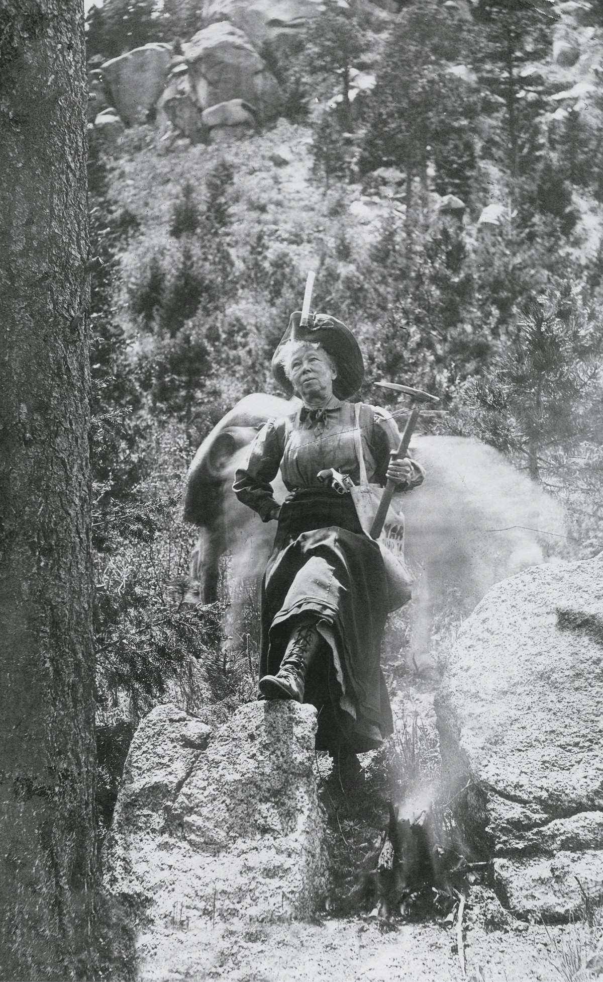 Miss Greylag | The Peculiar Children Wiki | Fandom