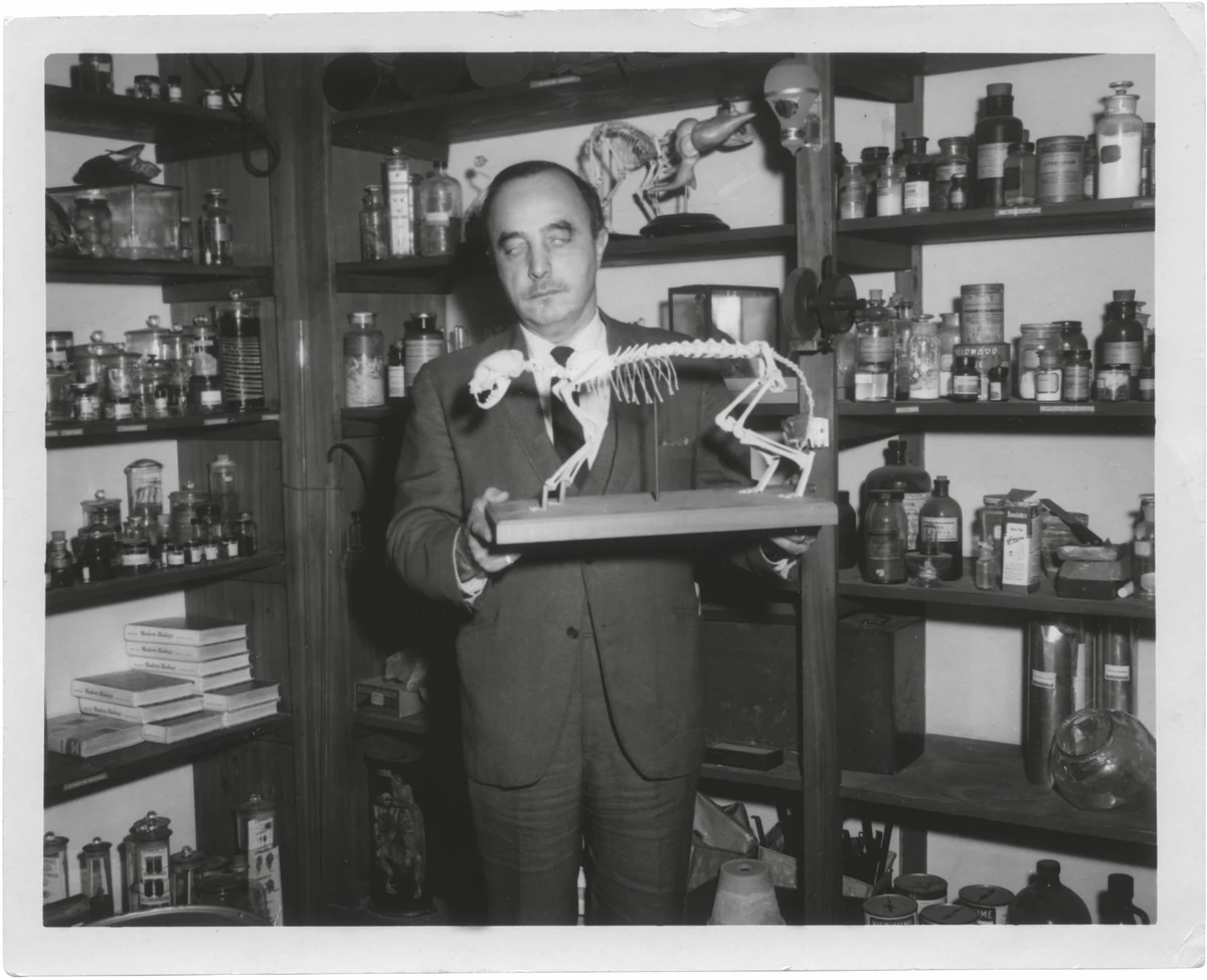 Wesley Bellichek | The Peculiar Children Wiki | Fandom