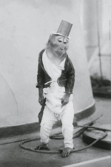 Mook-Mook | The Peculiar Children Wiki | Fandom